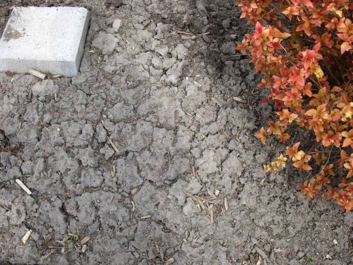 Identifying and Correcting Soil Problems – Horticulture For Home Gardeners