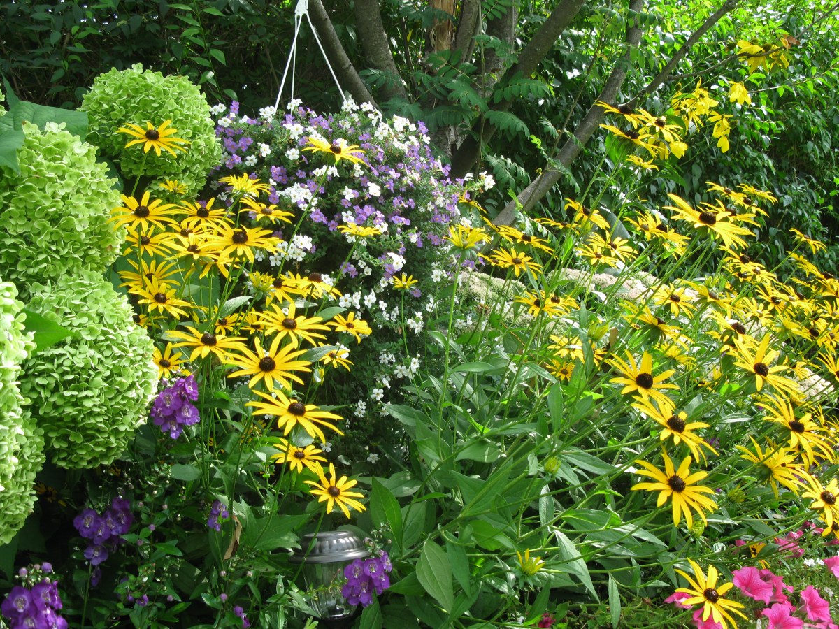 17 Essential Plant Nutrients and Their Role in Plant Health ...