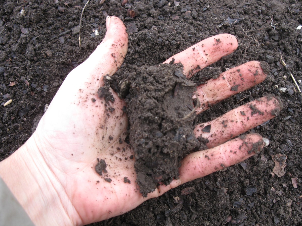 SOIL TEXTURE AND SOIL STRUCTURE – Horticulture For Home Gardeners