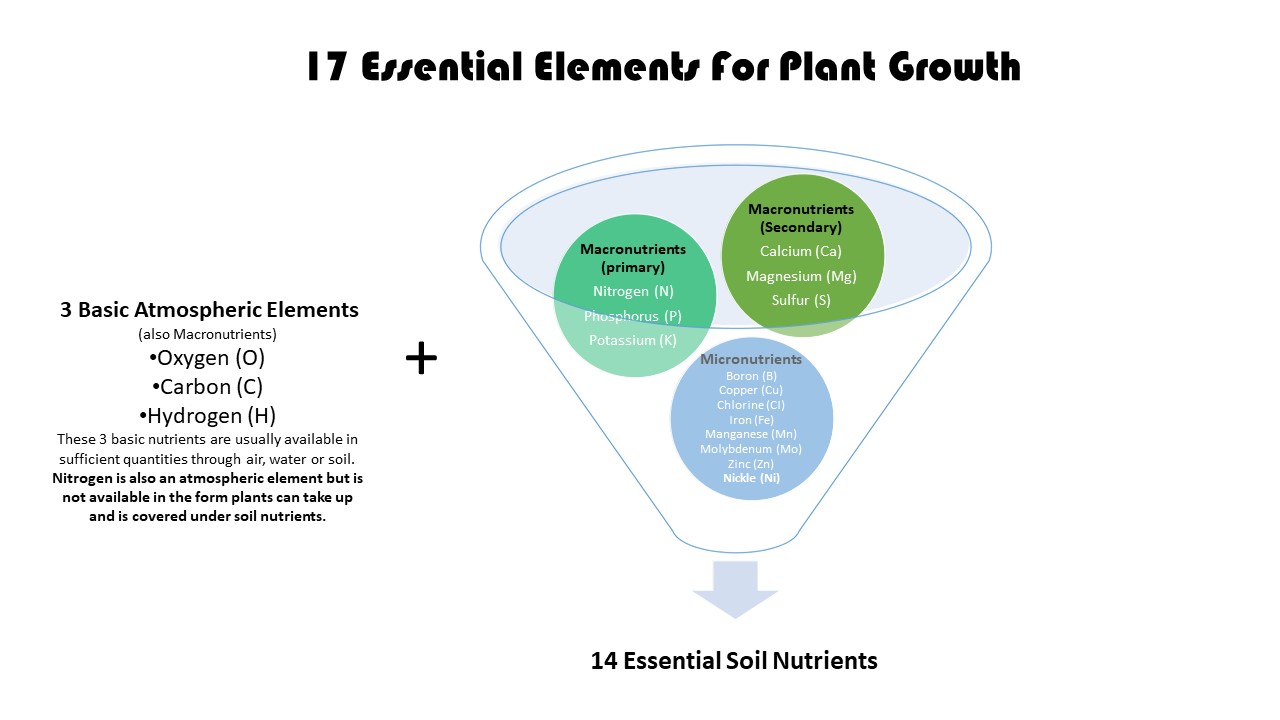 17 Essential Plant Nutrients and Their Role in Plant Health ...