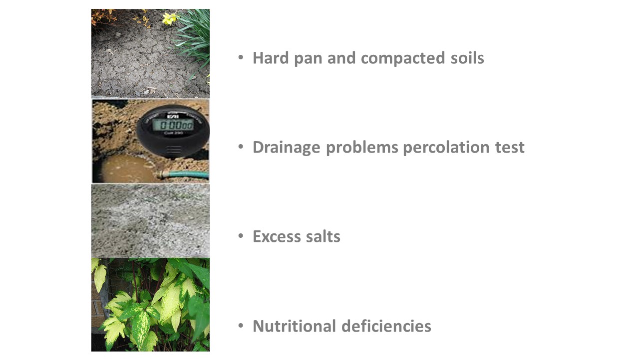 Identifying and Correcting Soil Problems – Horticulture For Home Gardeners