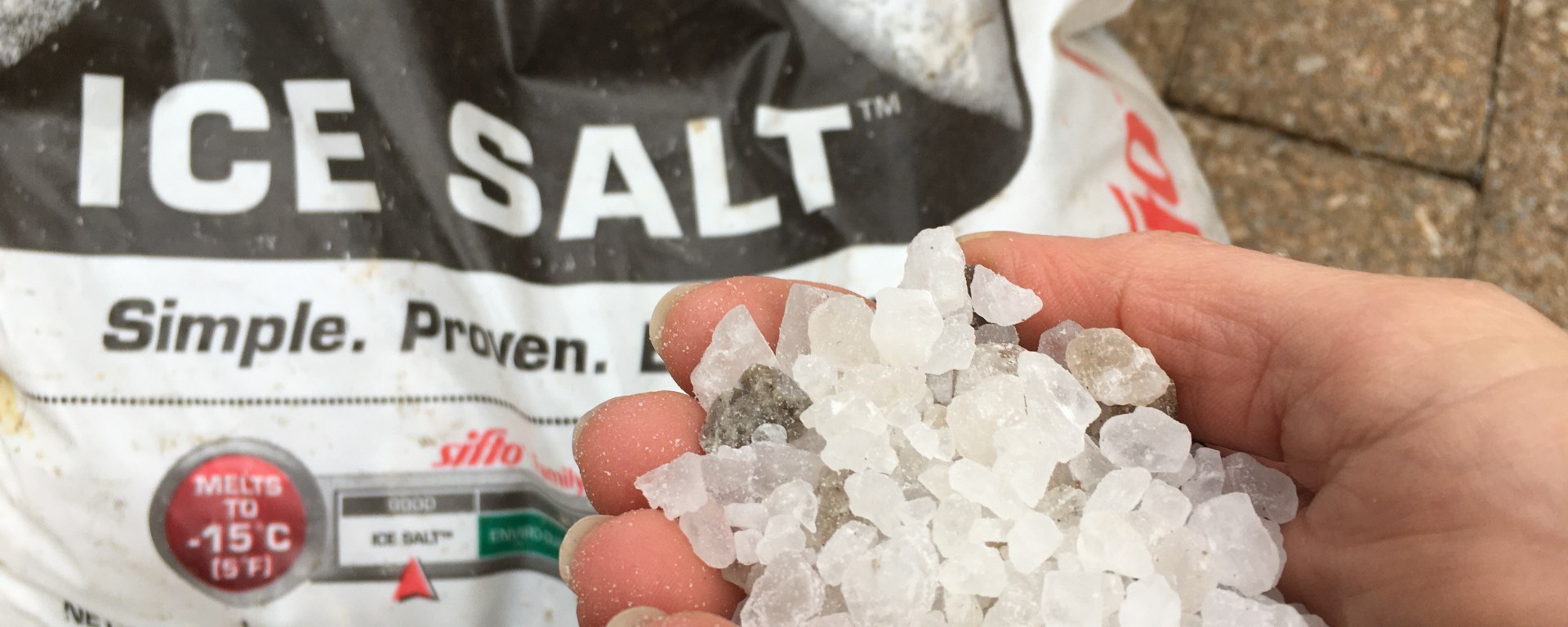 Winter Garden Care – Protecting Your Plants From Salt Damage ...