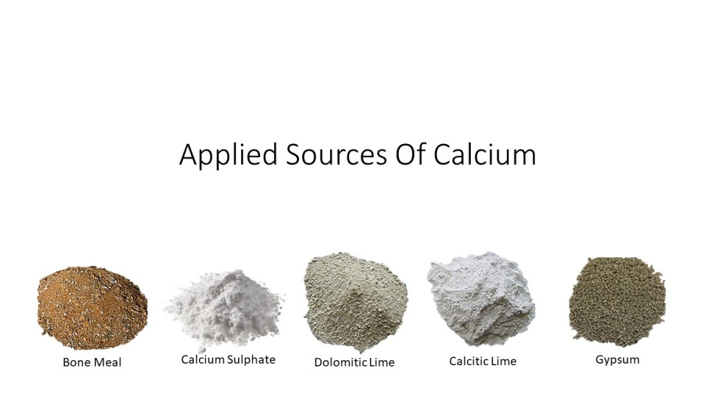 Calcium It’s Role in Soil and Plant Health – Horticulture For Home ...