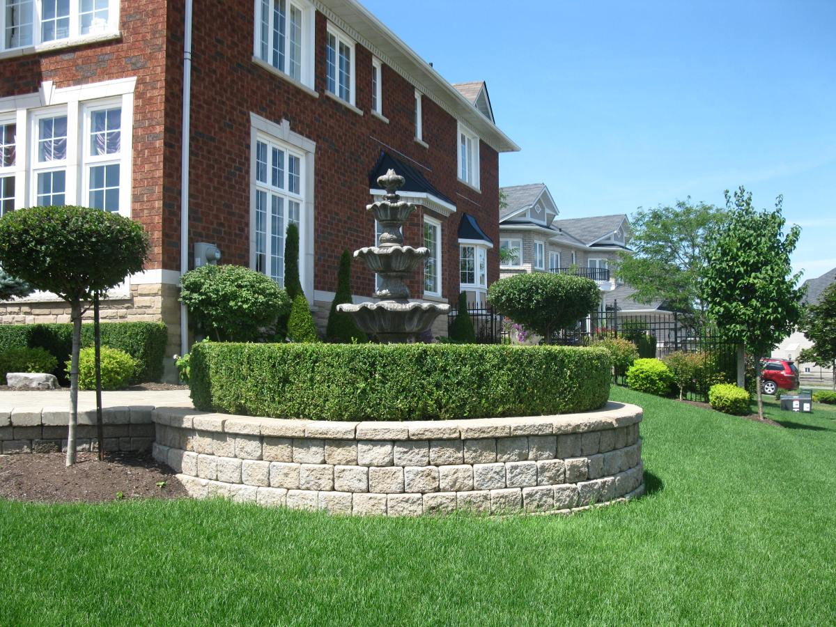 Boxwood For Ornamental Gardens – Horticulture For Home Gardeners