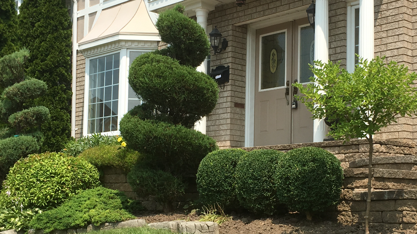 Topiary In Ornamental Home Gardens – Horticulture For Home Gardeners