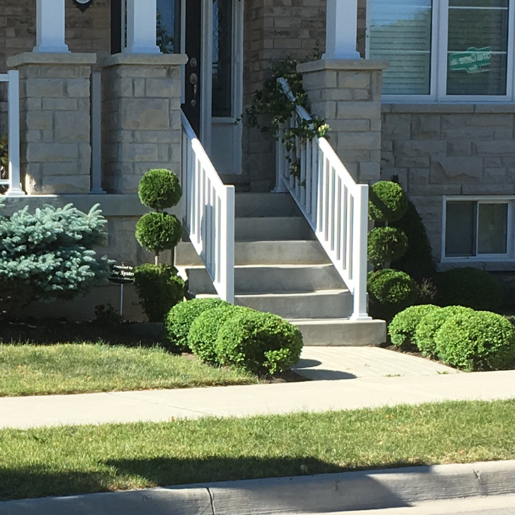 Topiary In Ornamental Home Gardens – Horticulture For Home Gardeners