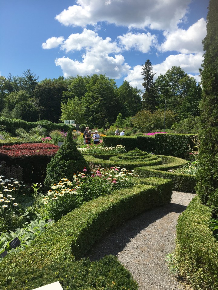 Boxwood For Ornamental Gardens – Horticulture For Home Gardeners