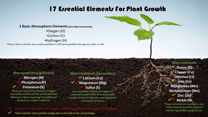 Plant Nutrient Deficiency Symptoms and How to Correct Them ...