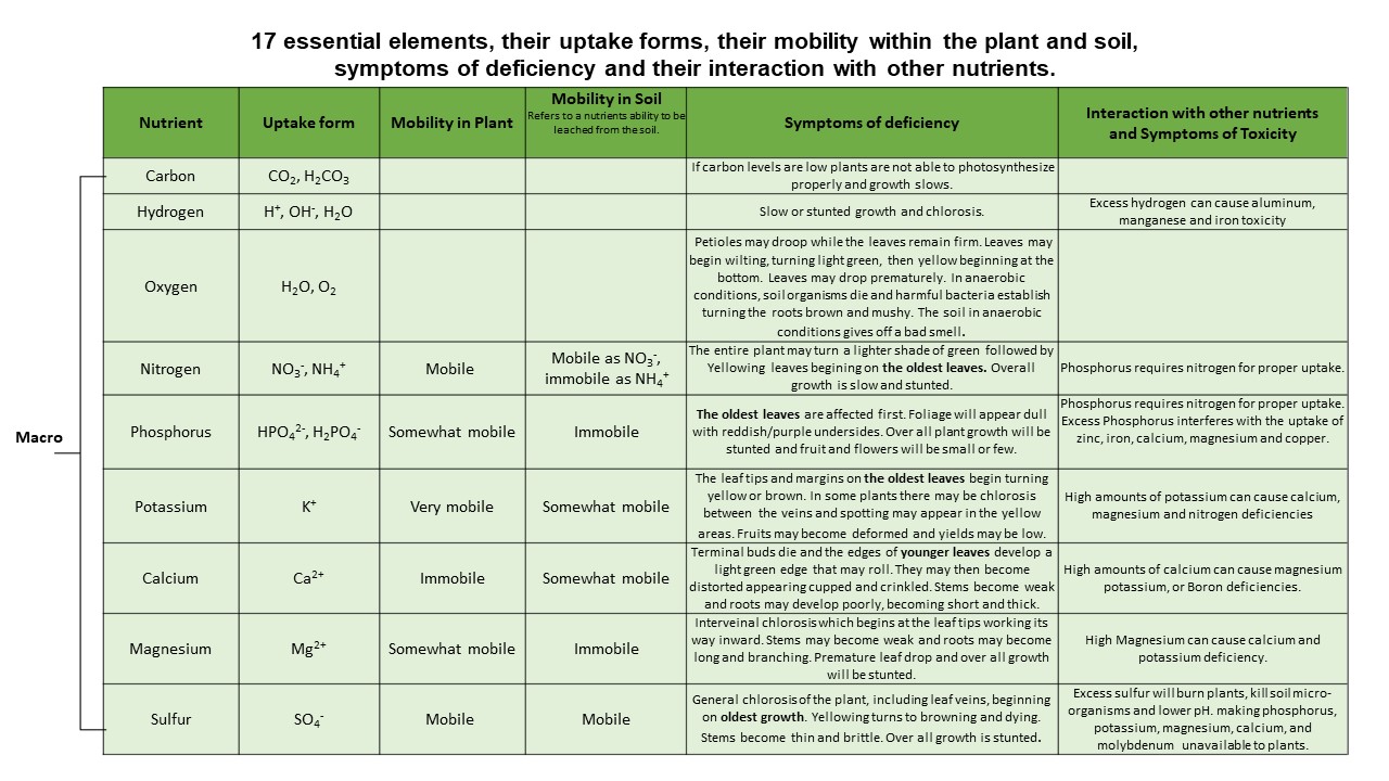Plant Nutrient Deficiency Symptoms and How to Correct Them ...