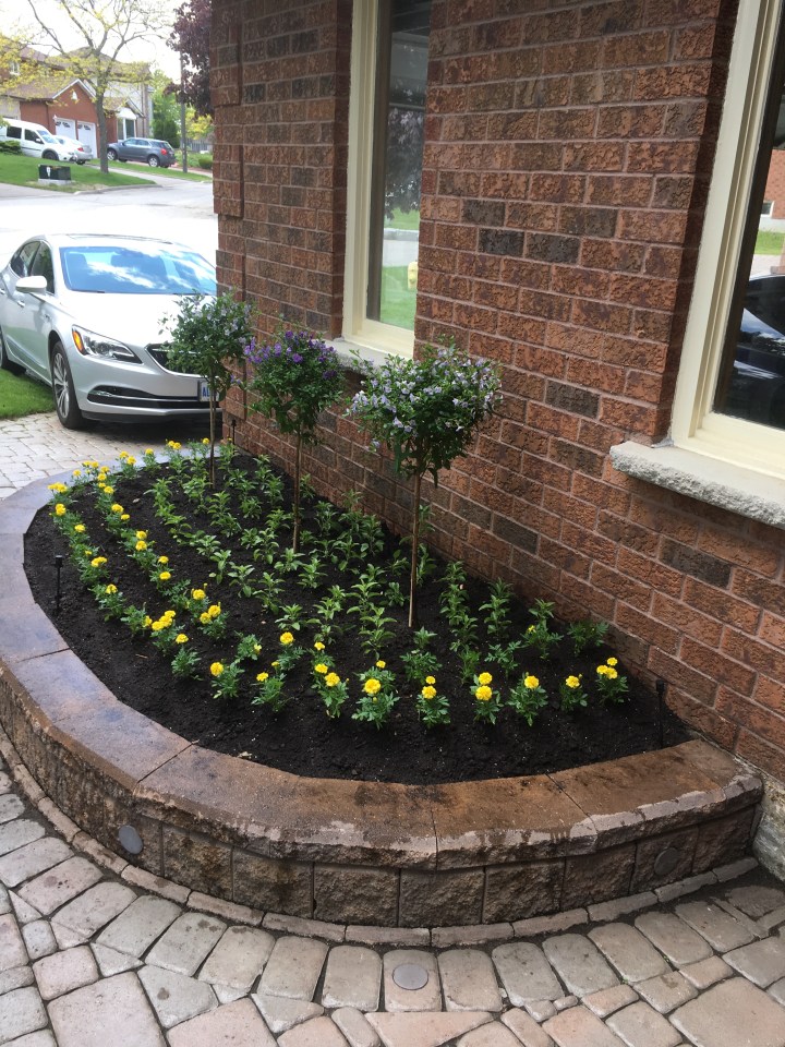 Ornamental Garden Calendar for May – Horticulture For Home Gardeners