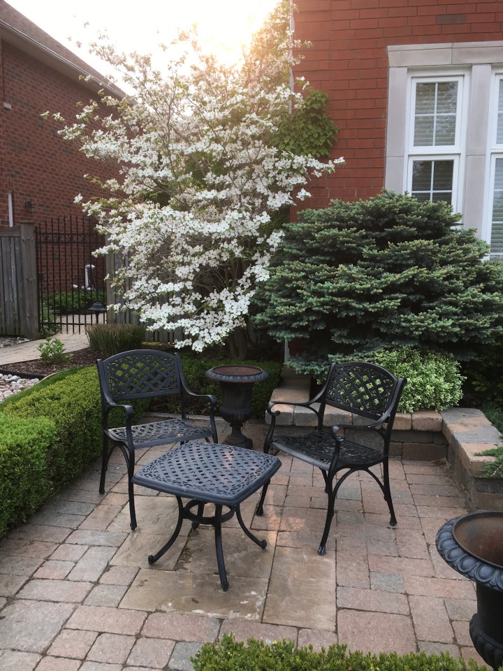 Ornamental Garden Calendar for May – Horticulture For Home Gardeners